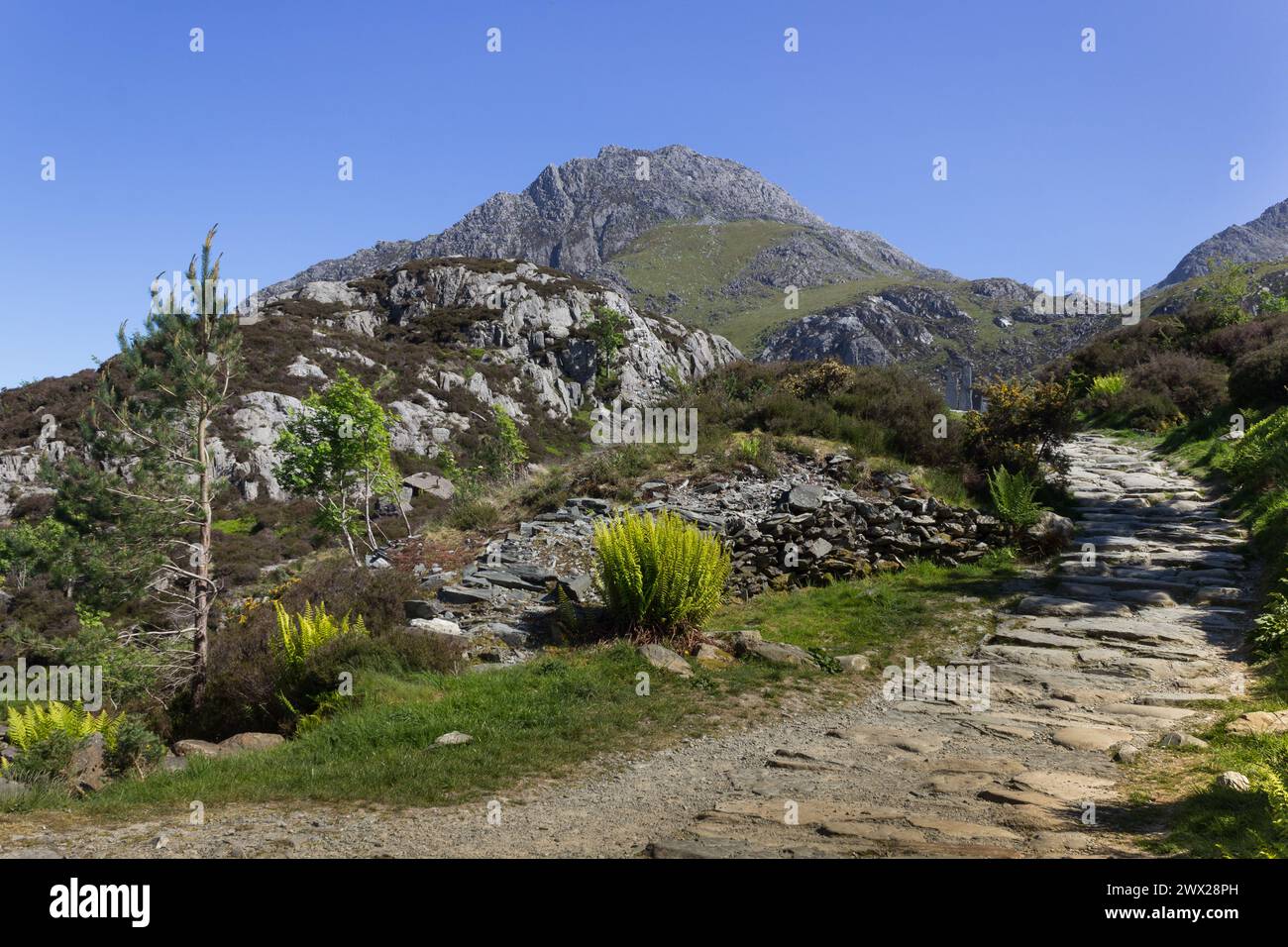 Idwal falls hi-res stock photography and images - Alamy