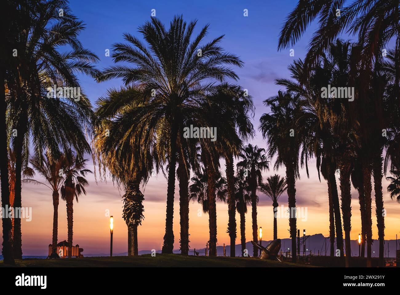 beautiful coastal view with palm trees at tropical destination, sunset ...
