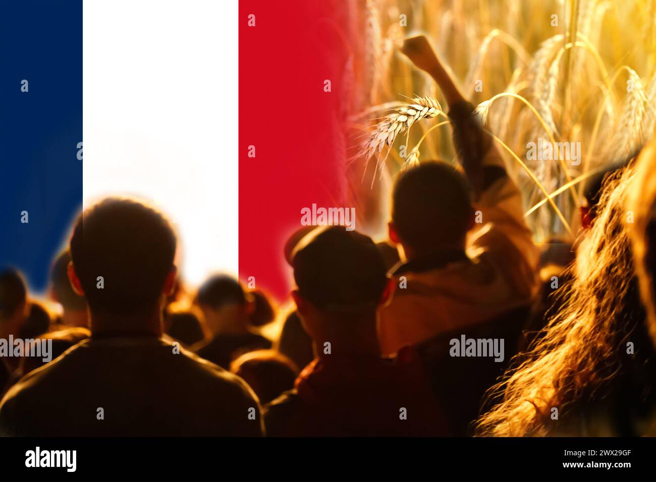 Farmers protest in France. Flag, wheat and people background Stock ...