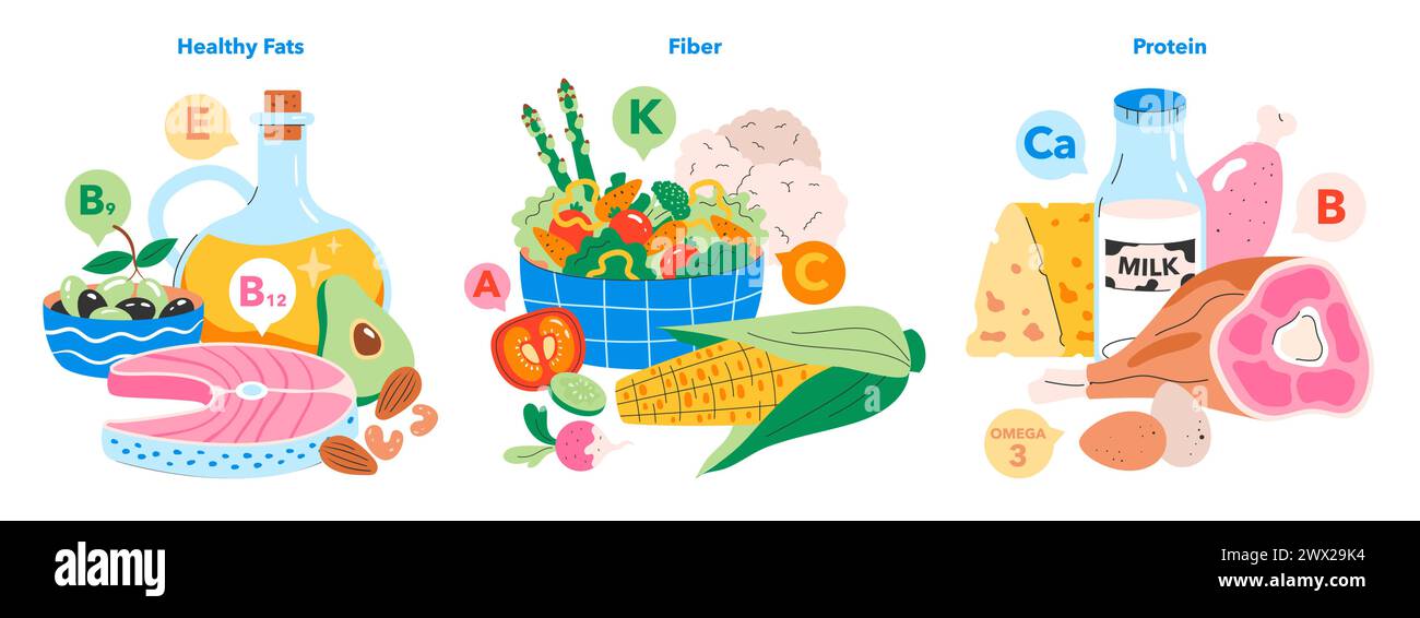 Nutrient Rich Foods Set. Illustrating the importance of healthy fats ...