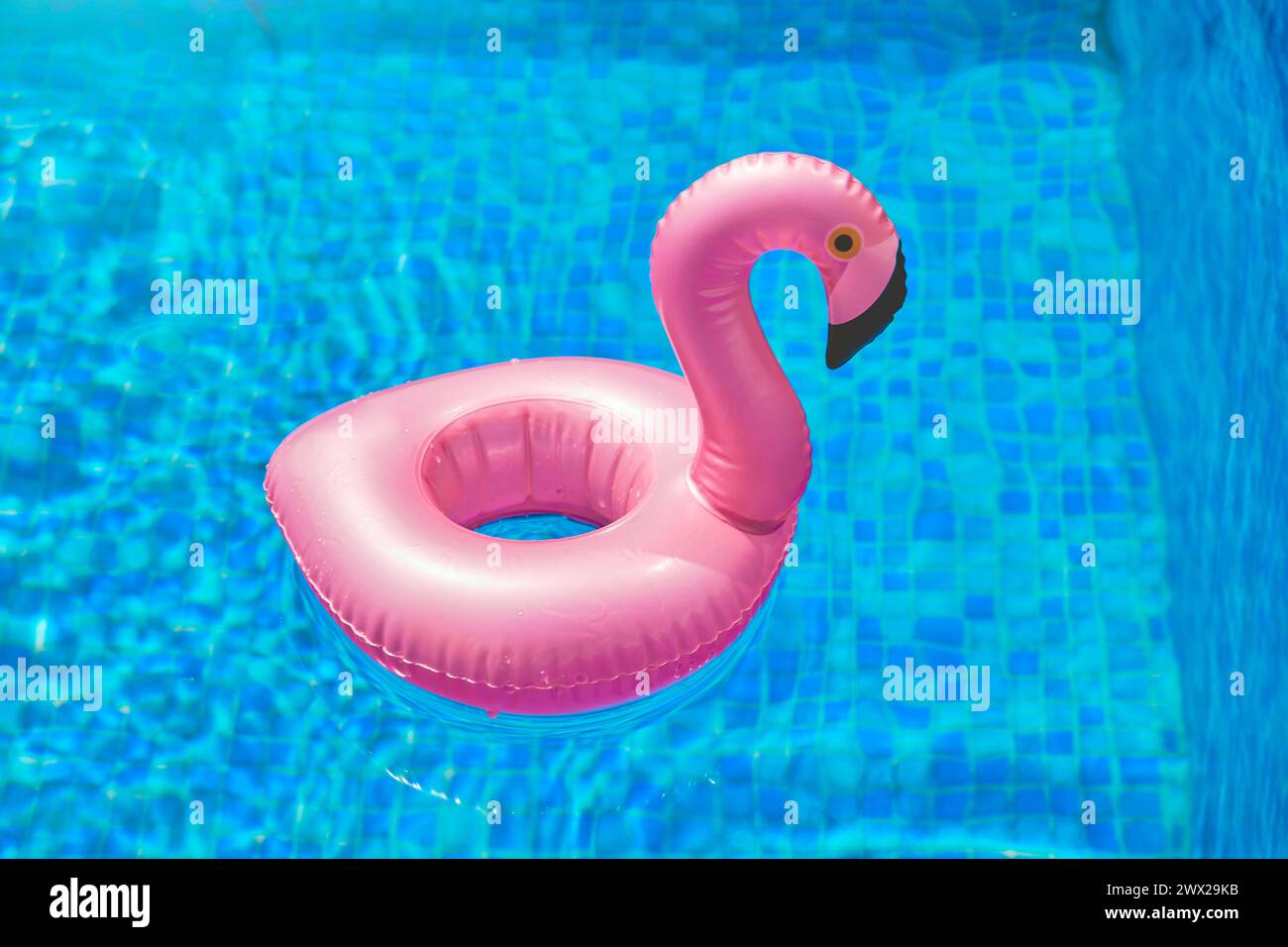 Pink flamingo pool float in a swimming pool Stock Photo - Alamy