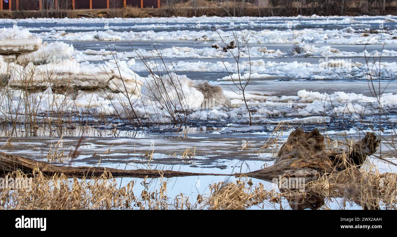A landscape of an ice drift (ice-boom, debacle) on the northern river ...