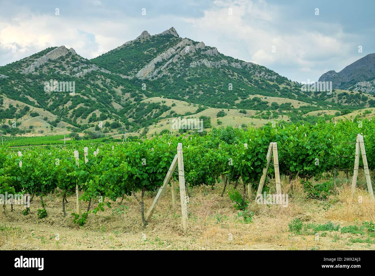 Crimean wines hi-res stock photography and images - Alamy