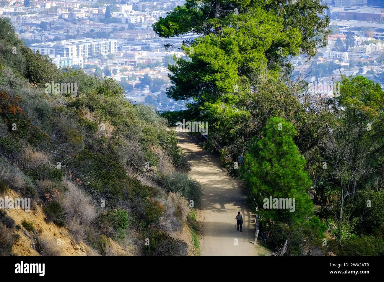 Griffith Park, Los Angeles, California, USA. With over 4,000 acres the ...