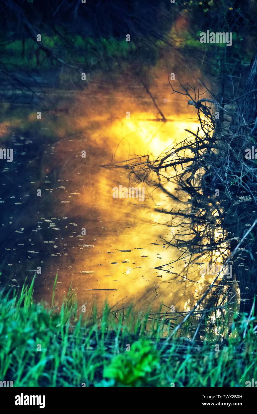 High water (spring flood) on the river and evening low sun with ...