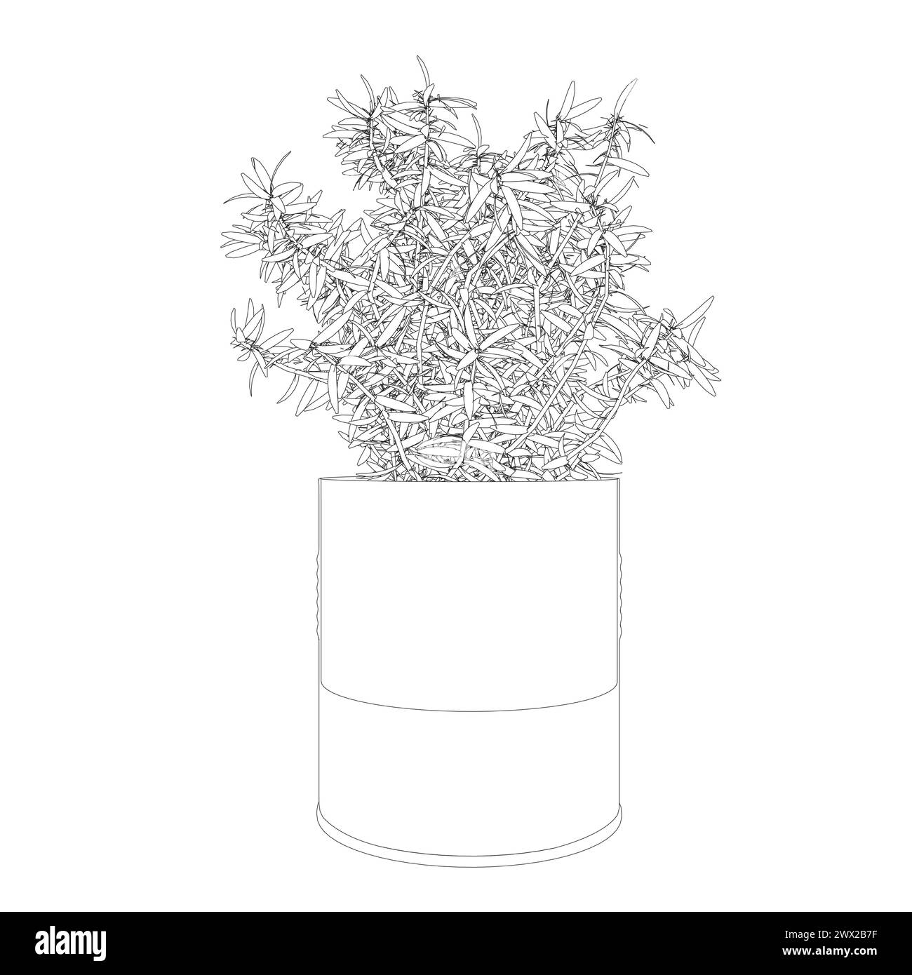 Vector of house plants in pots, outline drawings on a white background ...