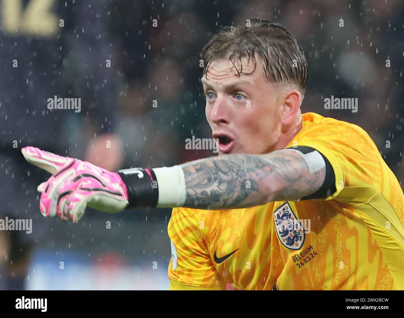 Jordan Pickford(Everton)of England in action during International ...