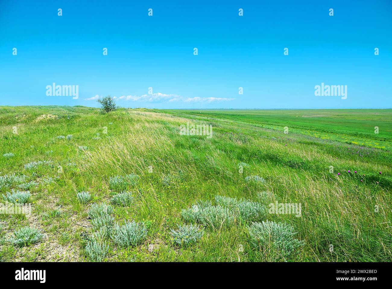 Elongated elevation hi-res stock photography and images - Alamy