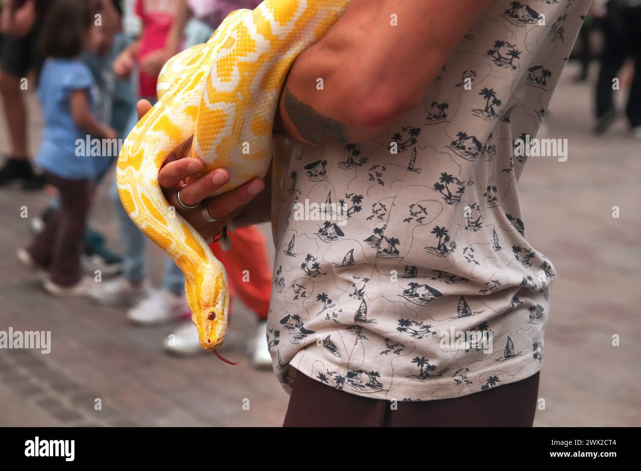 Man with snake tongue hi-res stock photography and images - Alamy