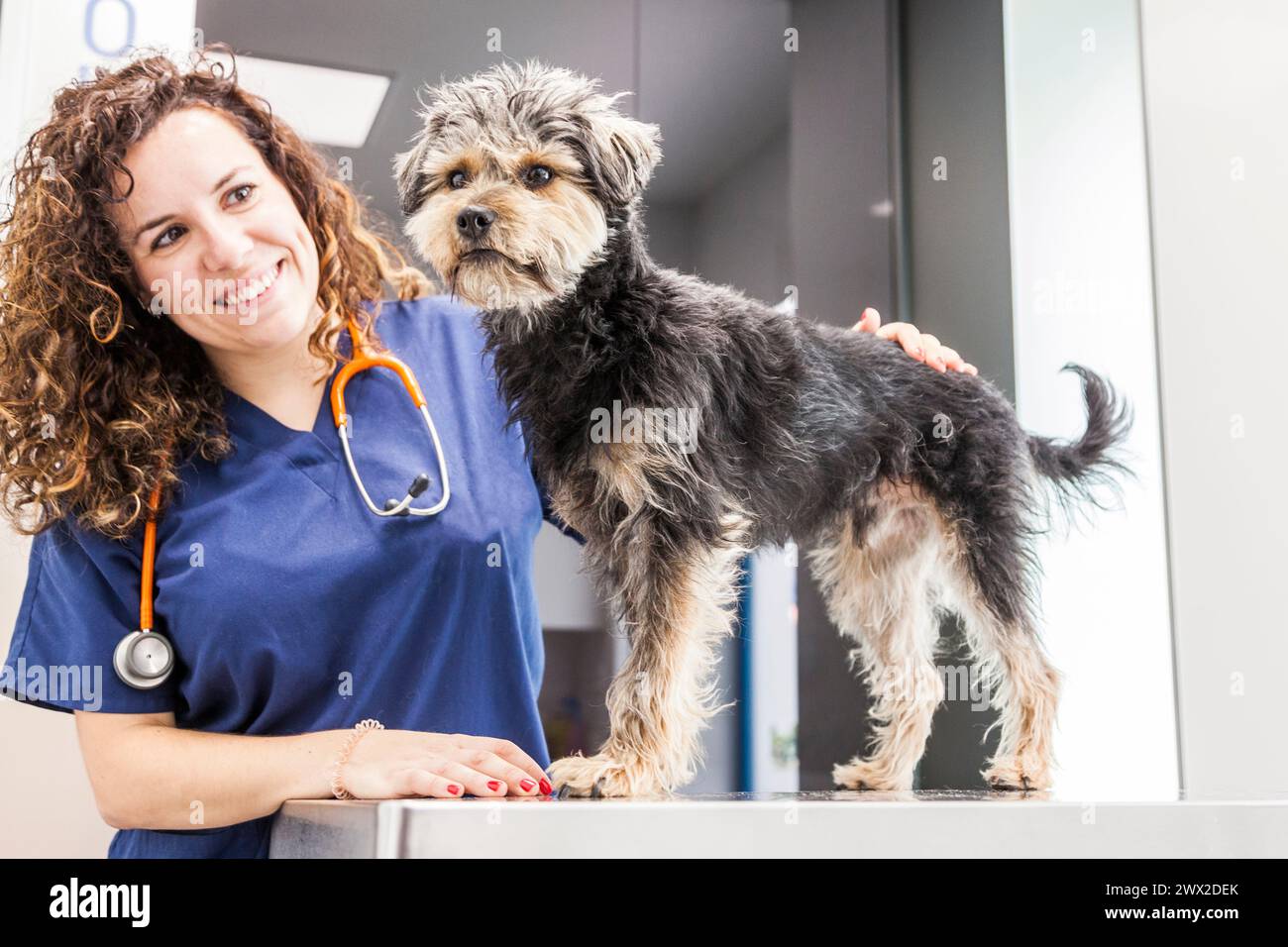 Female vet puppy hi-res stock photography and images - Alamy
