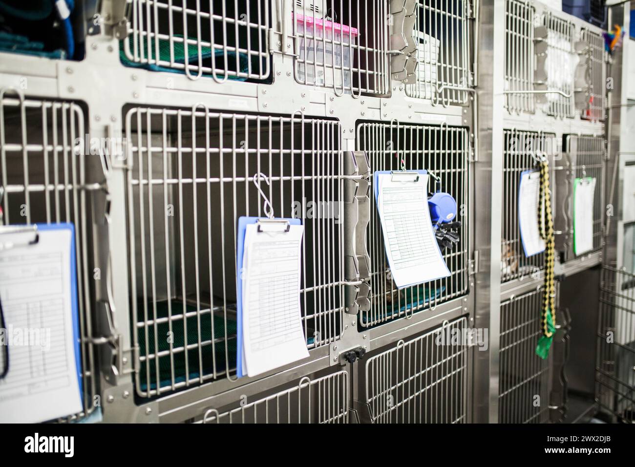 cages in the area of resuscitation and rest in the surgery of the ...