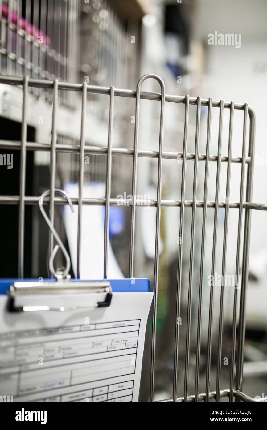 cages in the area of resuscitation and rest in the surgery of the ...