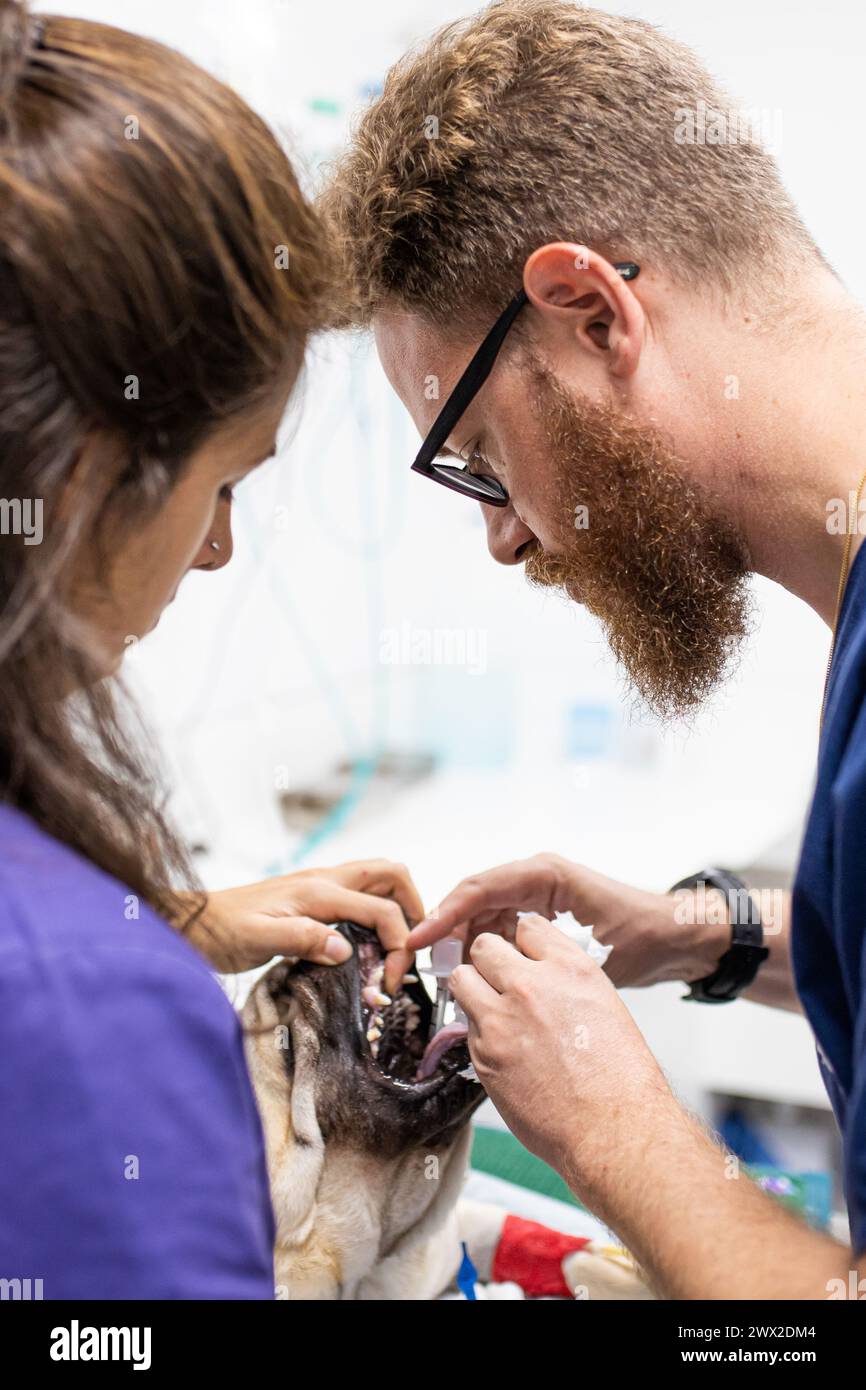 Operating efficiency hi-res stock photography and images - Alamy