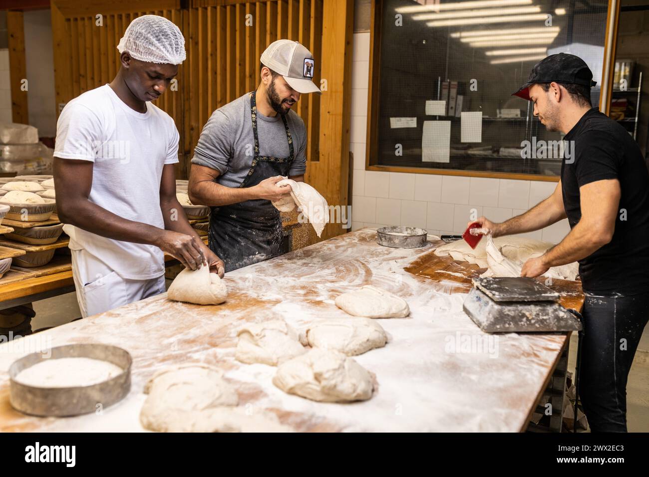 Bread making factory hi-res stock photography and images - Alamy