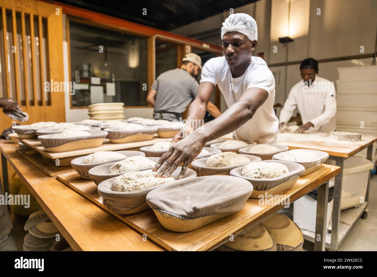 Multi-ethnic group of colleagues working in a bread factory, teaching ...