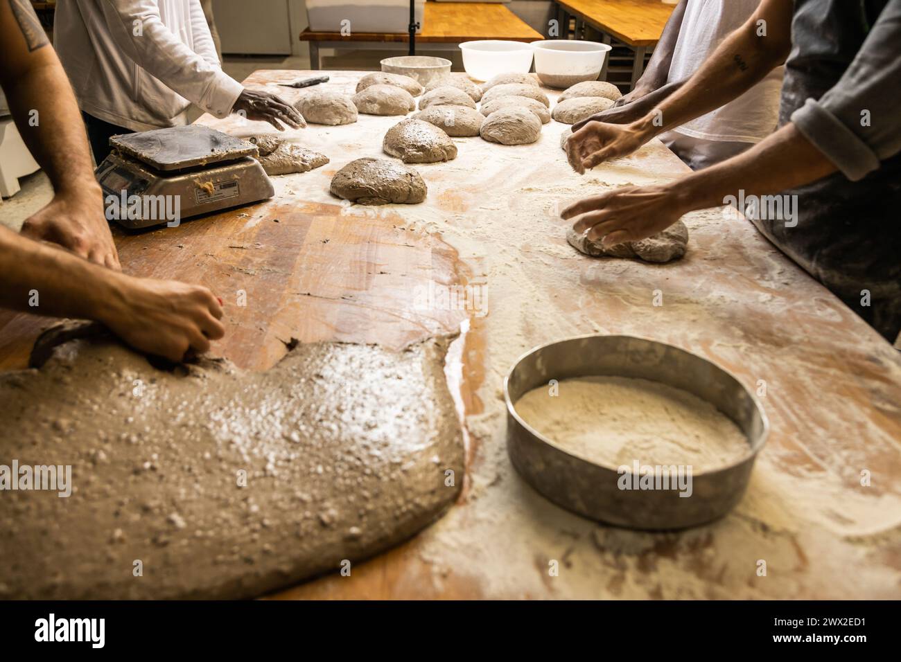 Multi-ethnic group of colleagues working in a bread factory, teaching ...