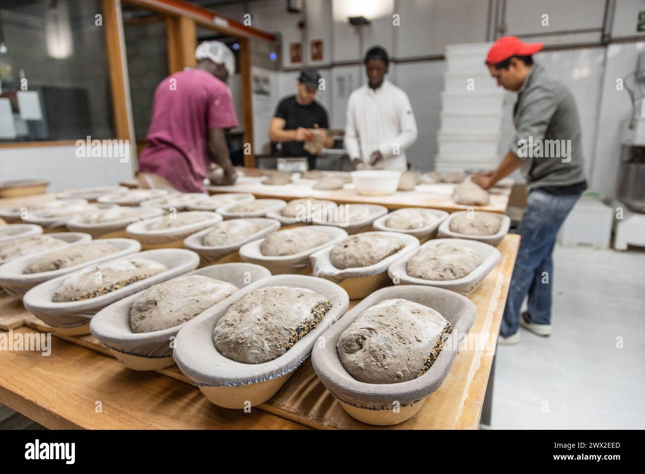 Food manufacturing uniform hi-res stock photography and images - Alamy