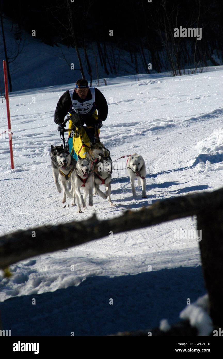 dogs are used in interact with humans a dog in interaction to humans ...