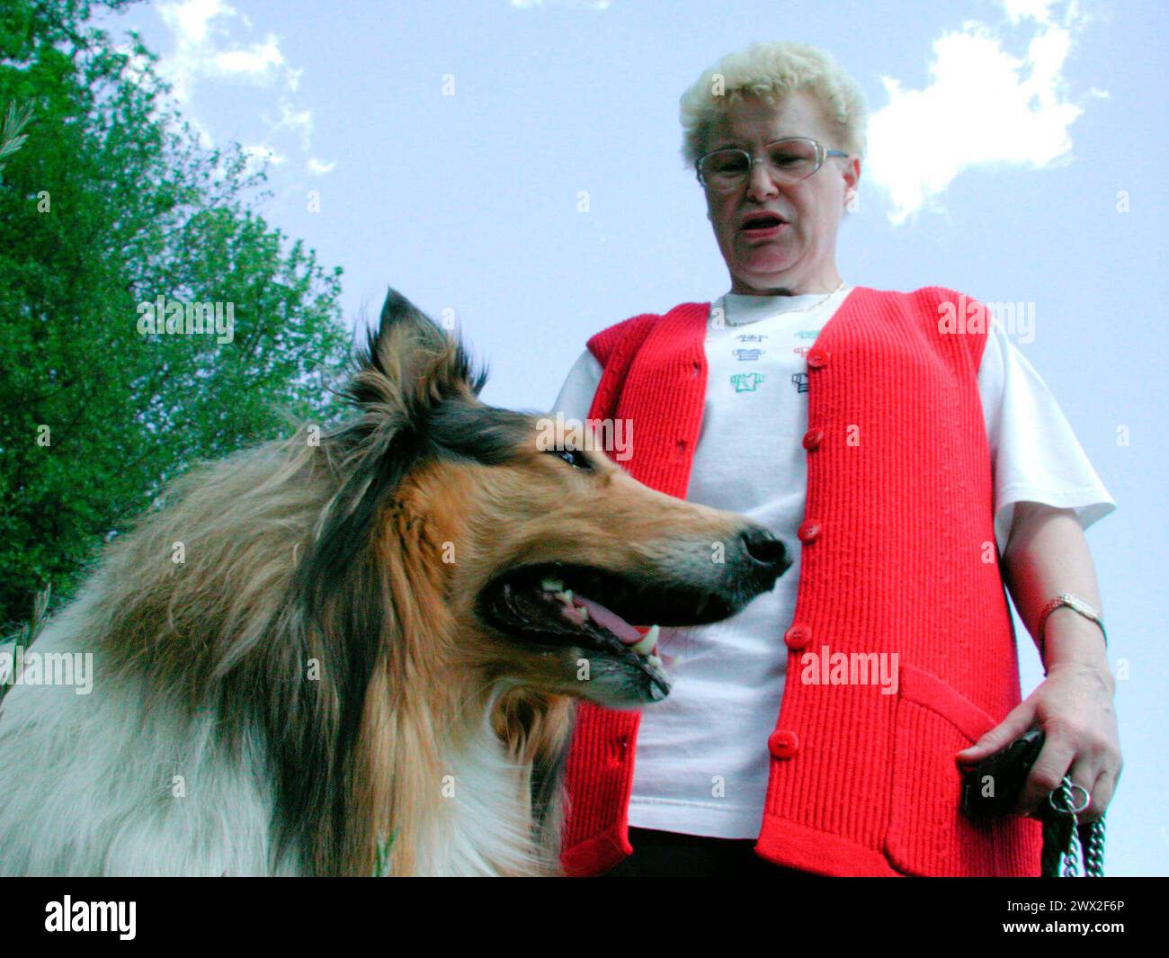 the pet owner taking the dog for a walk outside pet owner taking dog ...