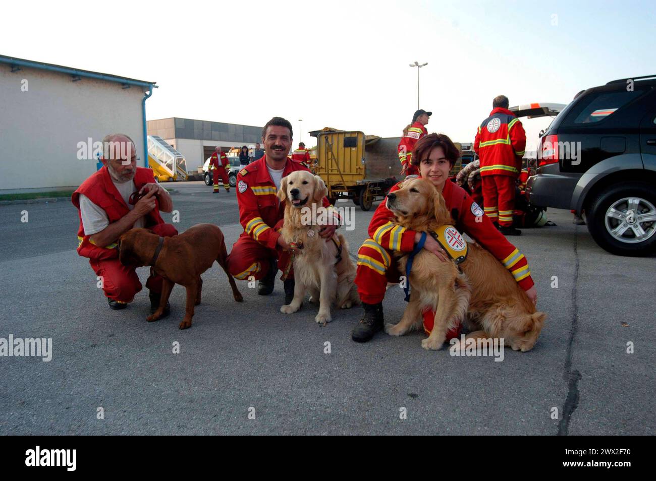 dogs are used in interact with humans a dog in interaction to humans ...