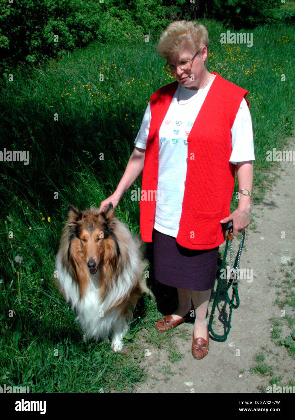 the pet owner taking the dog for a walk outside pet owner taking dog ...