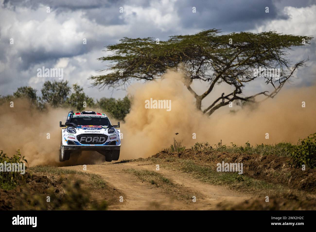 13 MUNSTER Gregoire, LOUKA Louis, Ford Puma Rally1, actionduring the ...
