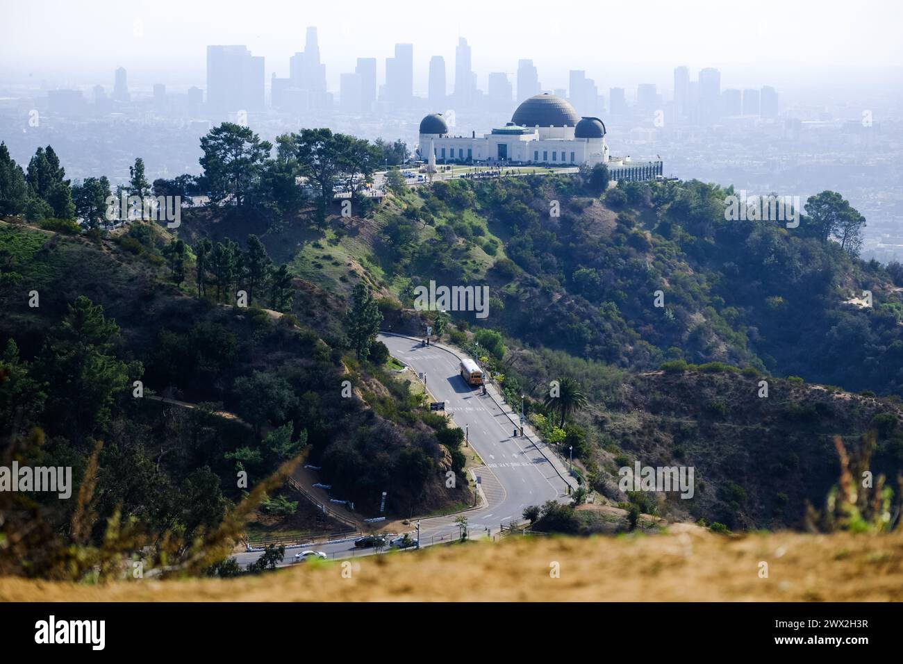 Griffith Observatory in Griffith Park, Los Angeles, California, USA ...