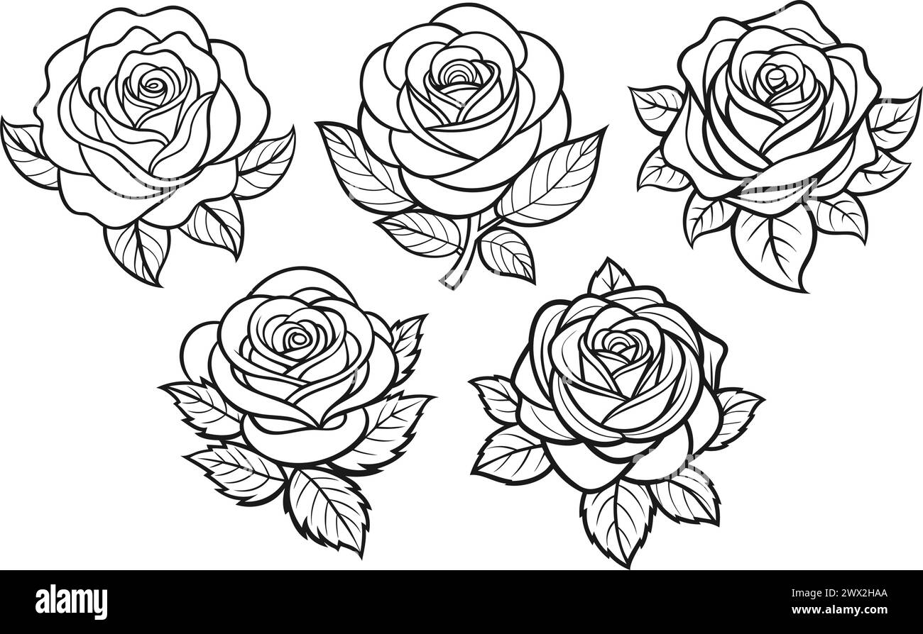 Set of hand drawn roses. Collection of roses. Vector illustration. Isolated on white background ...
