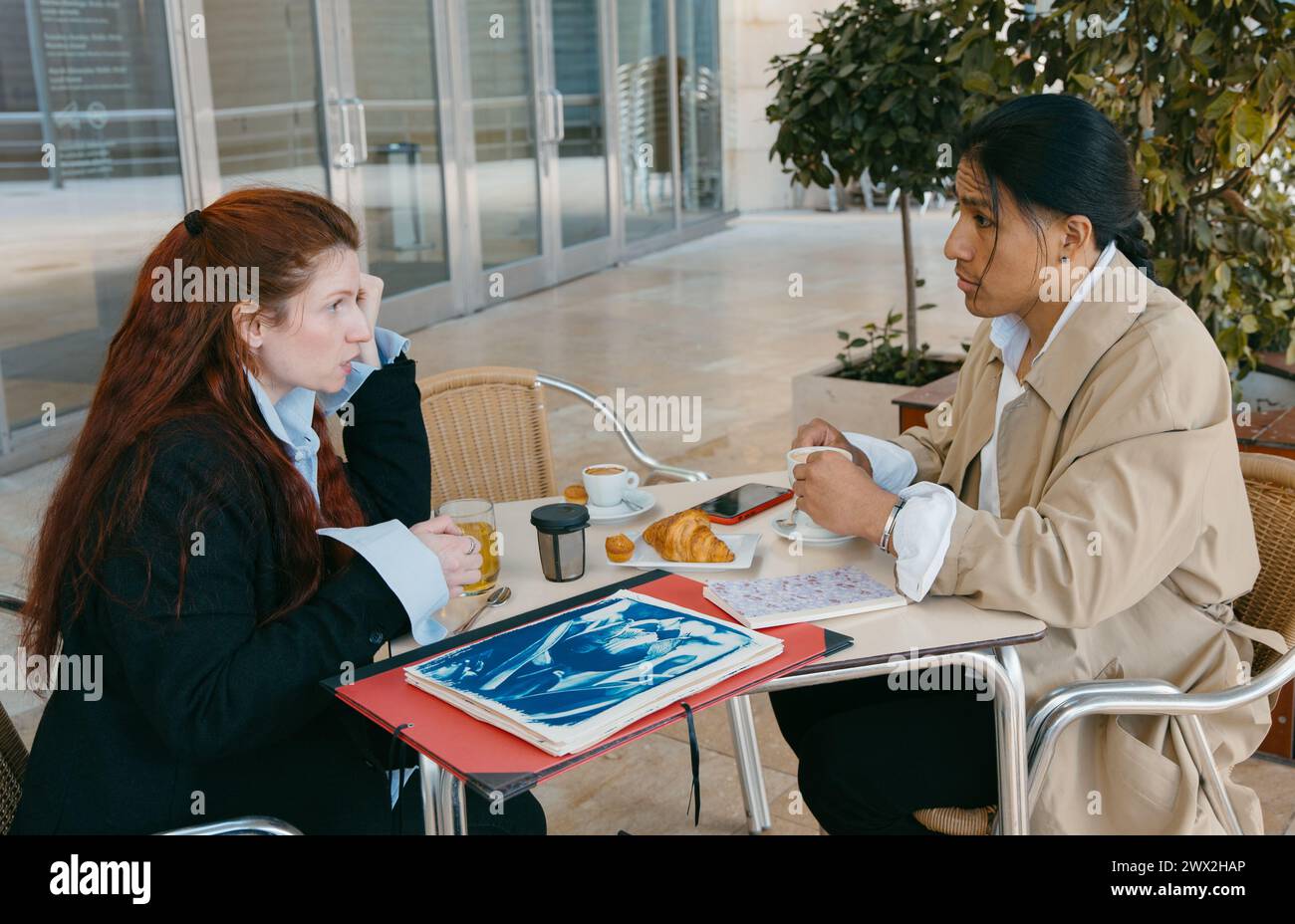 Two professionals engage in a serious business discussion over a ...
