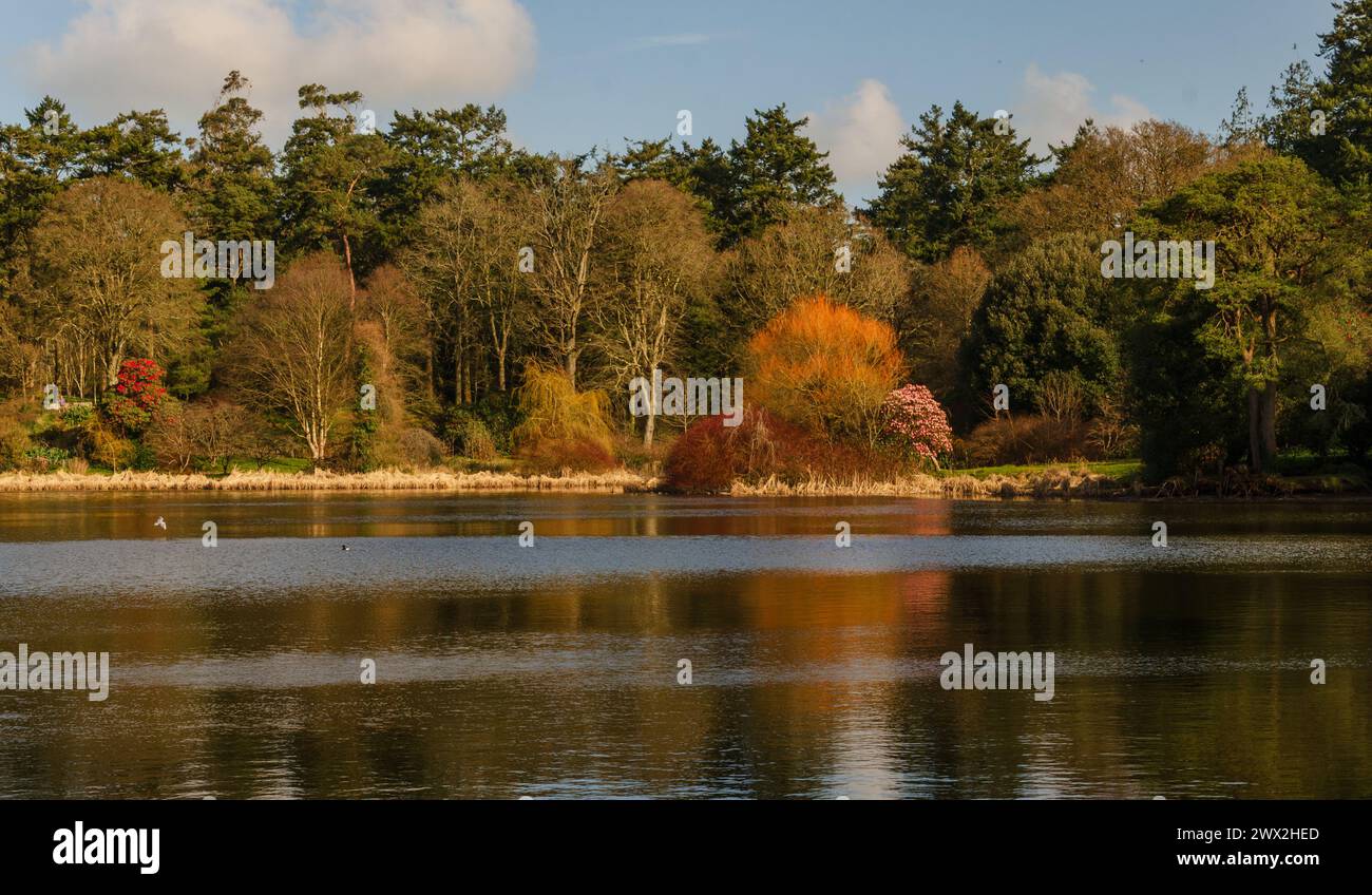 Tree- lined lake with beautiful spring colours with reflections Stock ...