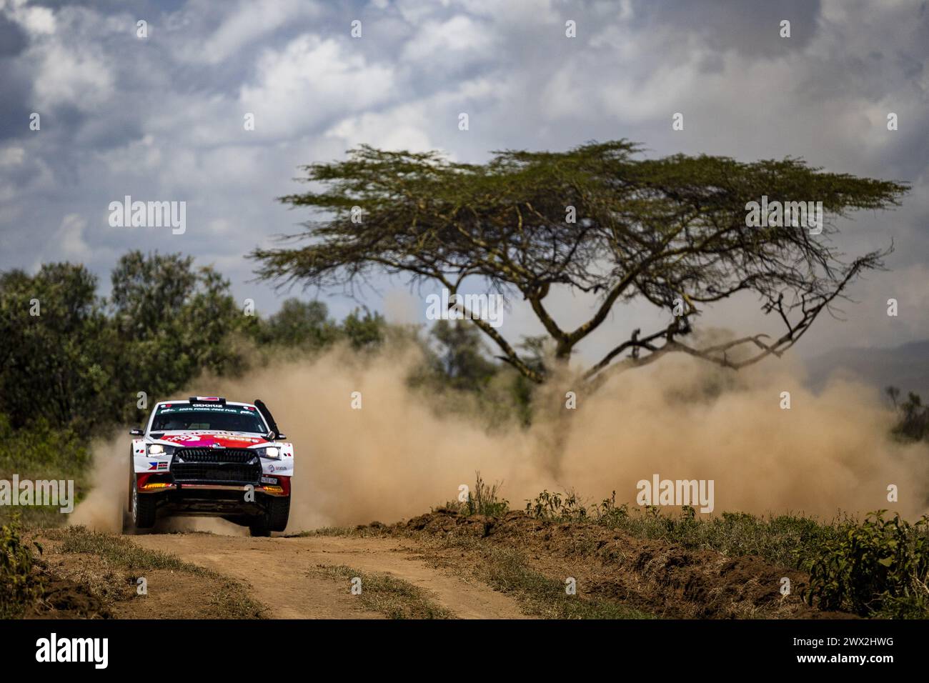 31 Miguel DIAZ ABOITIZ, Rodrigo SANJUAN, Skoda Fabia RS Rally2, actionduring the Safari Rally ...