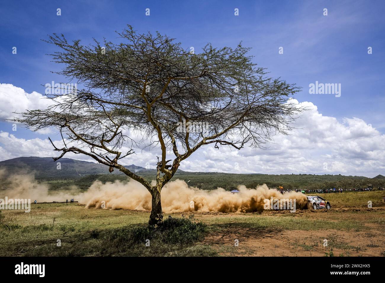 13 MUNSTER Gregoire, LOUKA Louis, Ford Puma Rally1, actionduring the ...