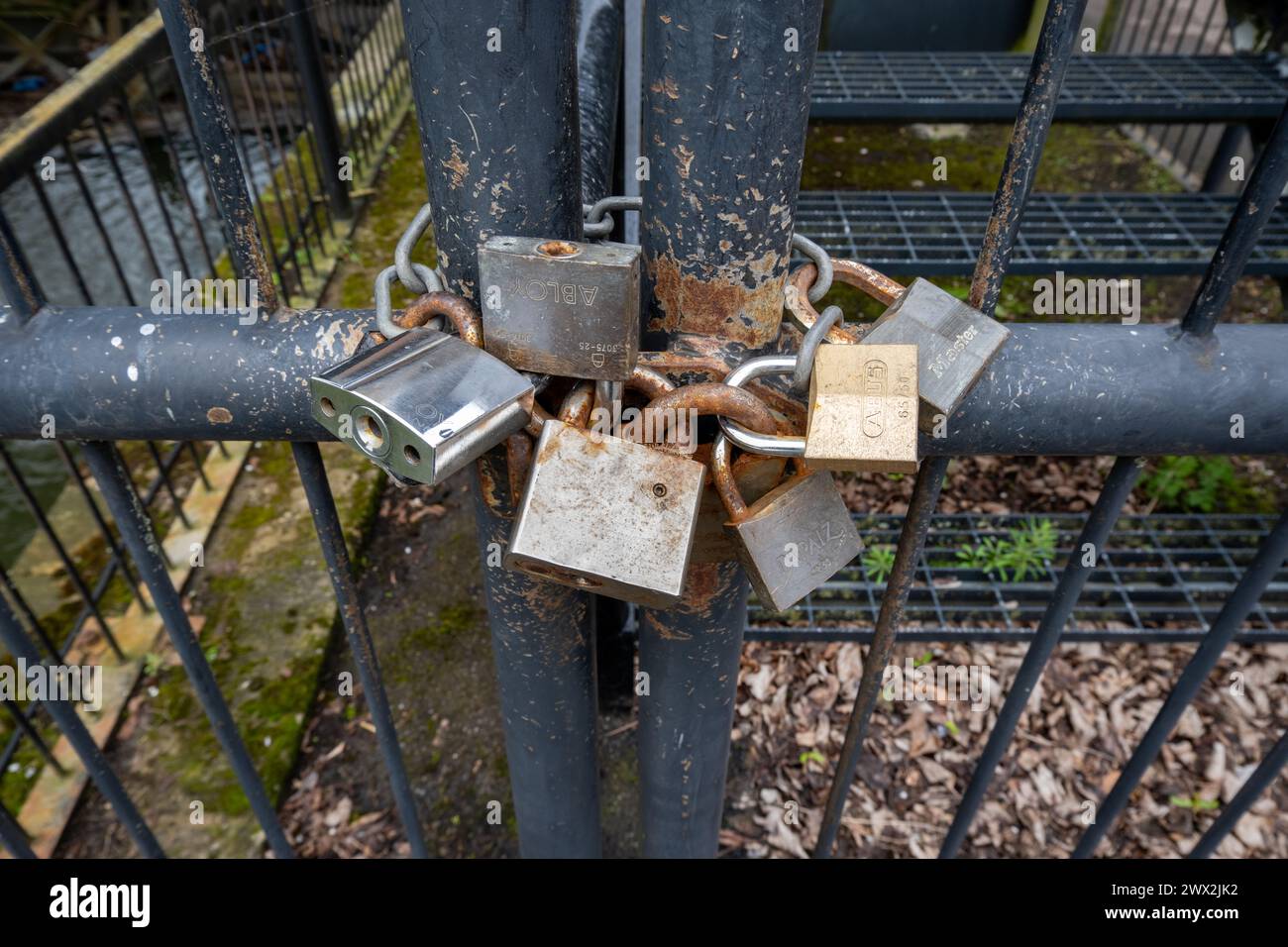 Multiple padlocks around a gate Stock Photo - Alamy