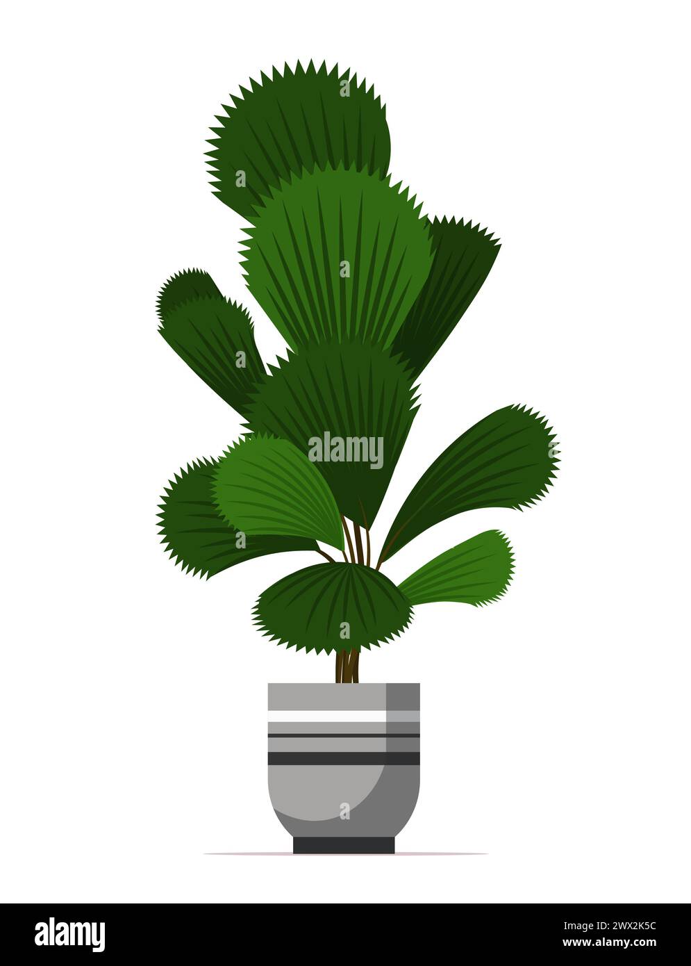 Exotic plants indoor garden Cut Out Stock Images & Pictures - Alamy