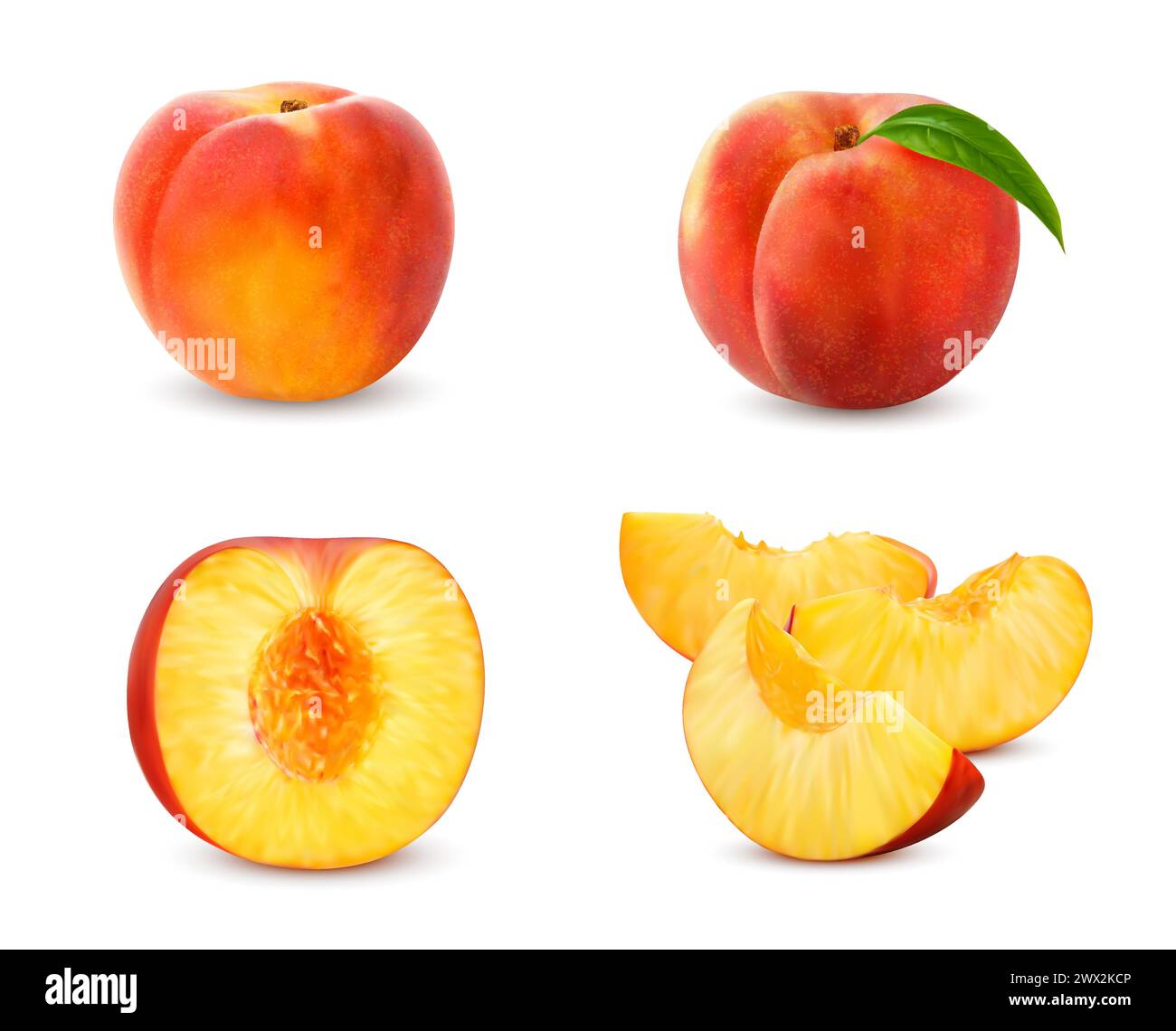 Cut in sections Stock Vector Images - Alamy