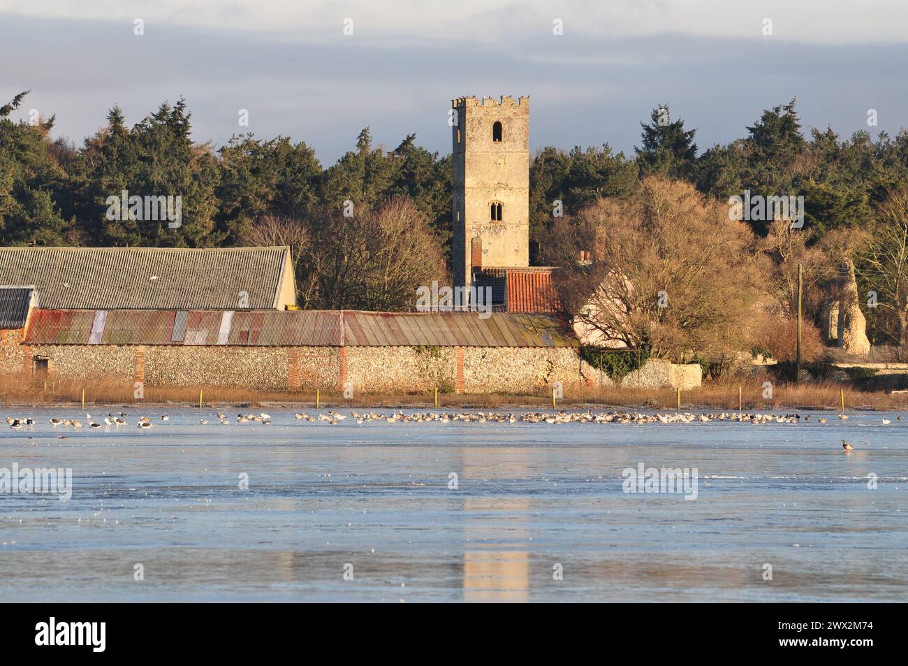 Great Livermere Lake (Ampton Water) Suffolk, England, UK Stock Photo ...