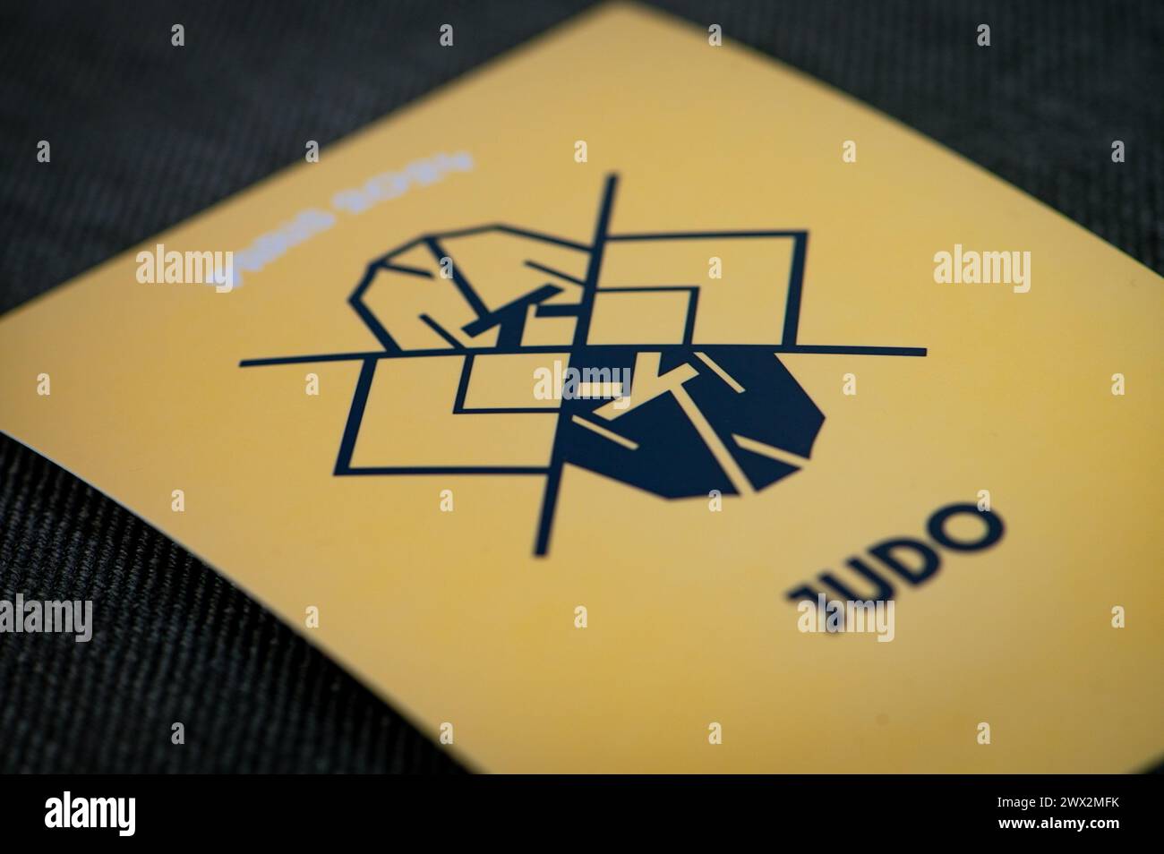 Judo pictogram for paris 2024 summer olympics. Official icon of sport ...