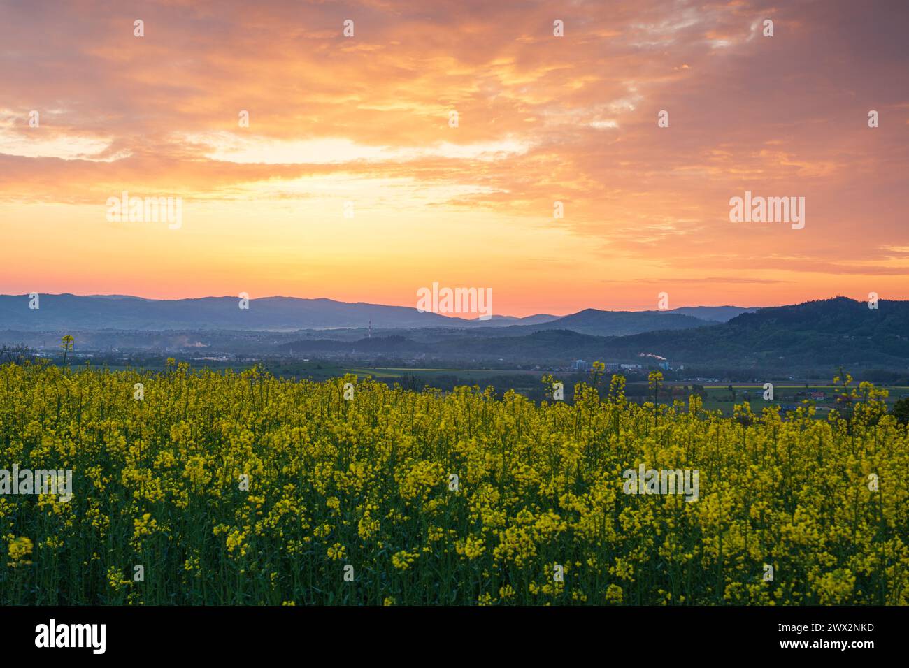 Colorful spring sunrise hi-res stock photography and images - Alamy