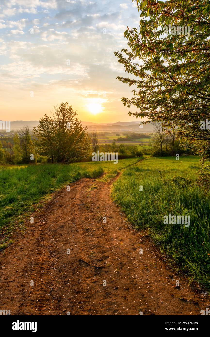 Sunrise in a spring field with green grass, a gravel path with tire ...