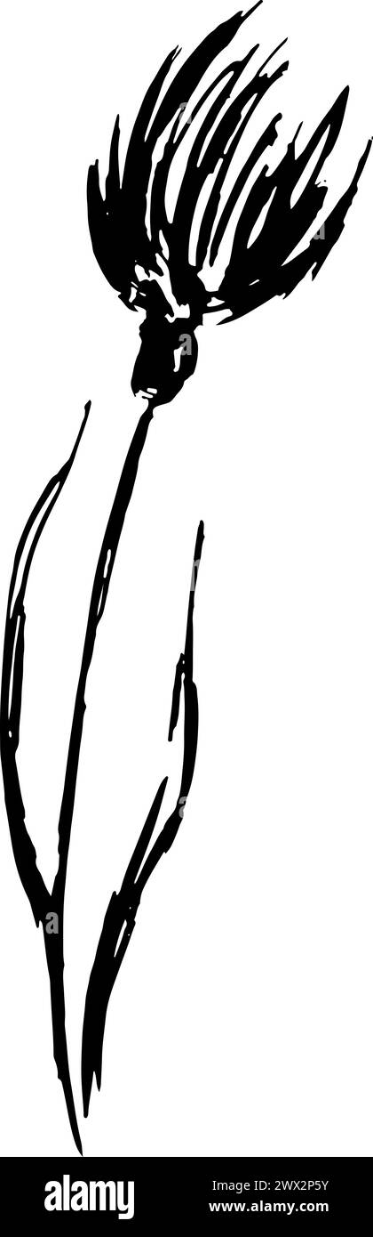 Thistle illustration Cut Out Stock Images & Pictures - Alamy