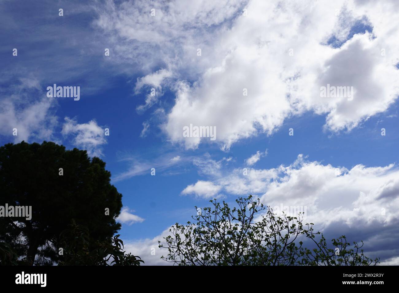 Ambient clouds hi-res stock photography and images - Alamy