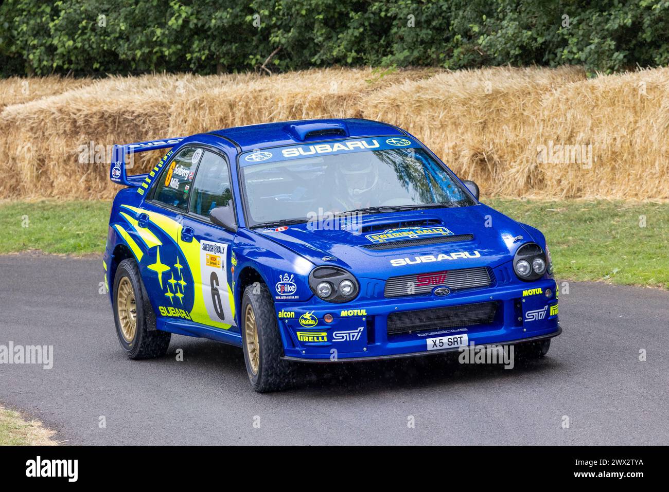 Marc schipper hi-res stock photography and images - Alamy