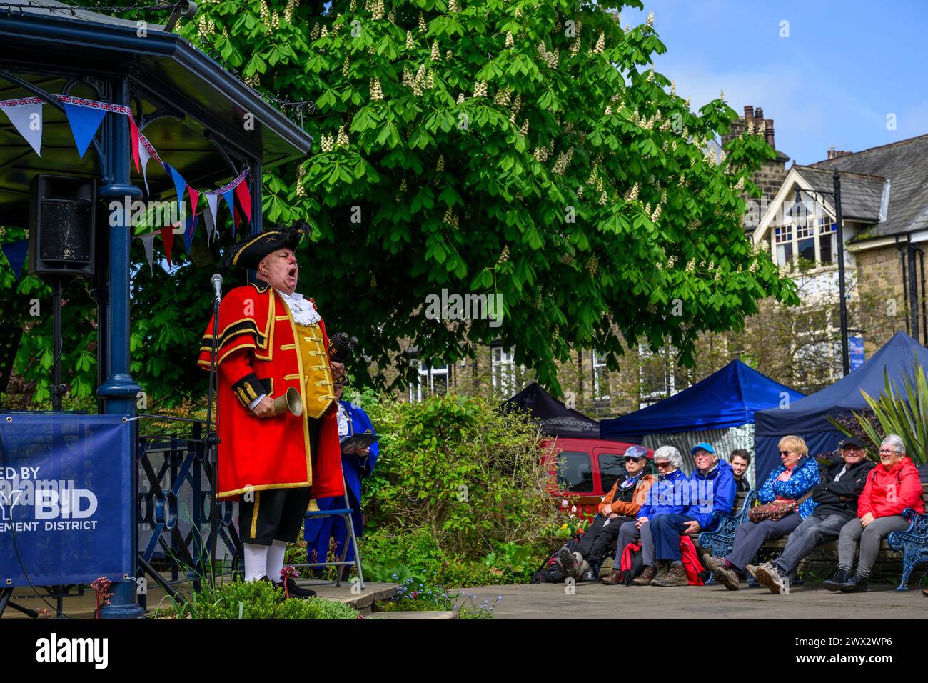 Male town crier & bellman (gold red crier's livery clothes) making loud ...