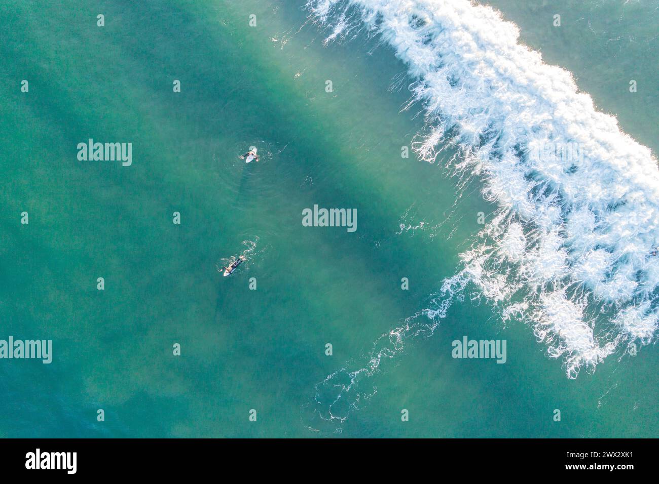 drone aerial top view of surfers practicing surfing on a beach in ...