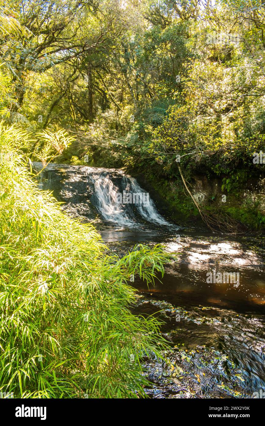 Waterfall at Ronda Municipal Park in Sao Francisco de Paula, South of ...