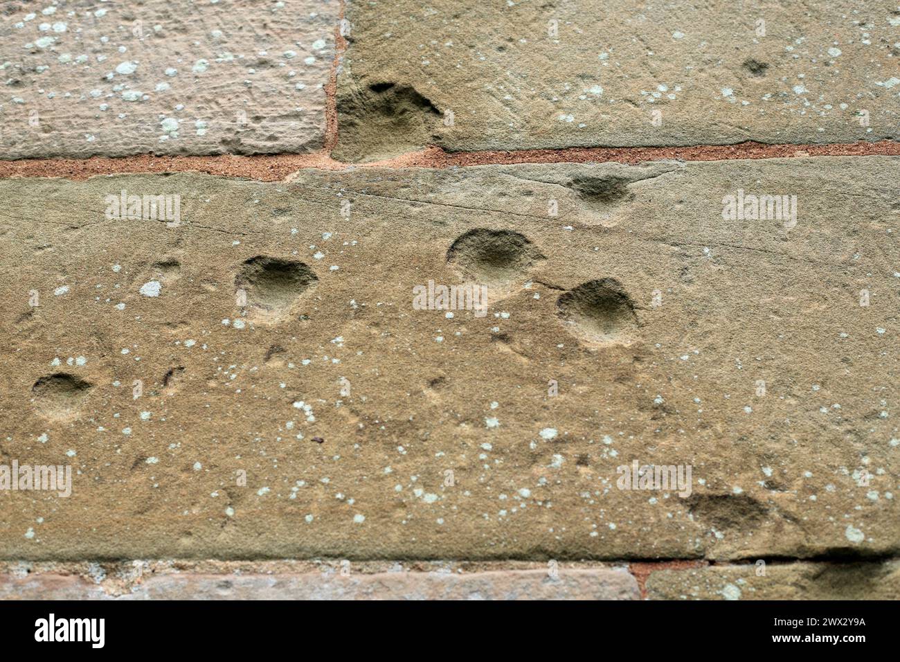 English civil war musket shot marks on the wall of St Peter's church ...