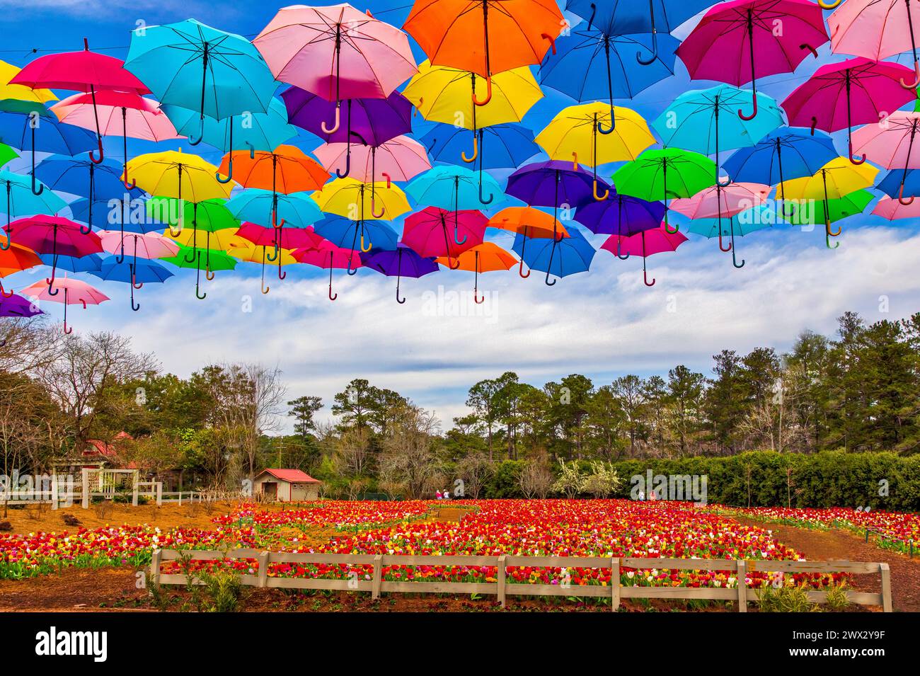 Callaway gardens hi-res stock photography and images - Alamy