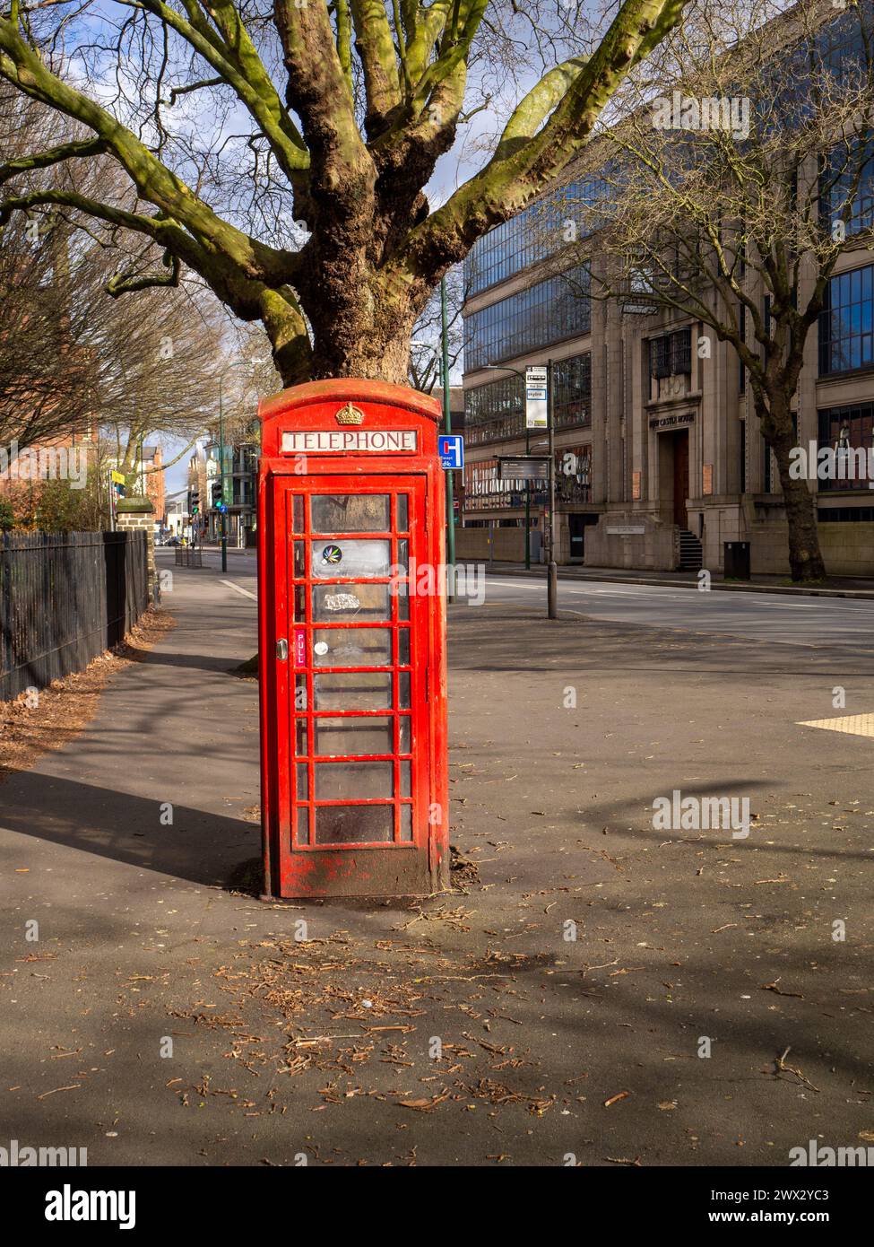 Nottingham city centre red iconic phonebox with a tree growing behind ...