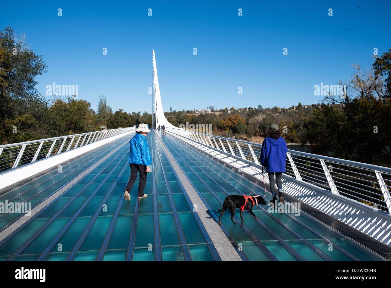 The Sundial Bridge at Turtle Bay is a world-famous pedestrian bridge ...