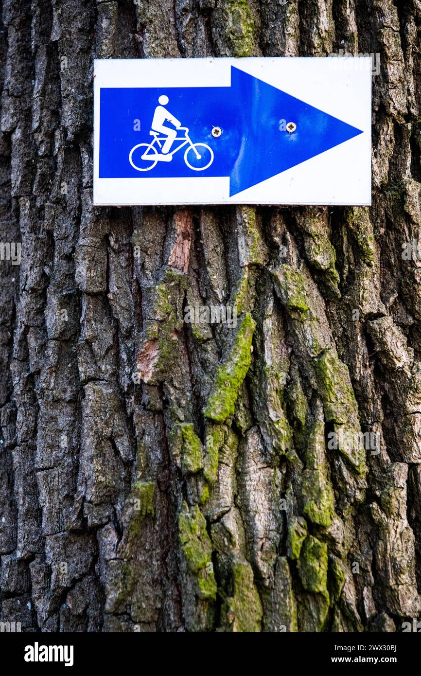 Cycling trail indicator on a tree bark Stock Photo - Alamy